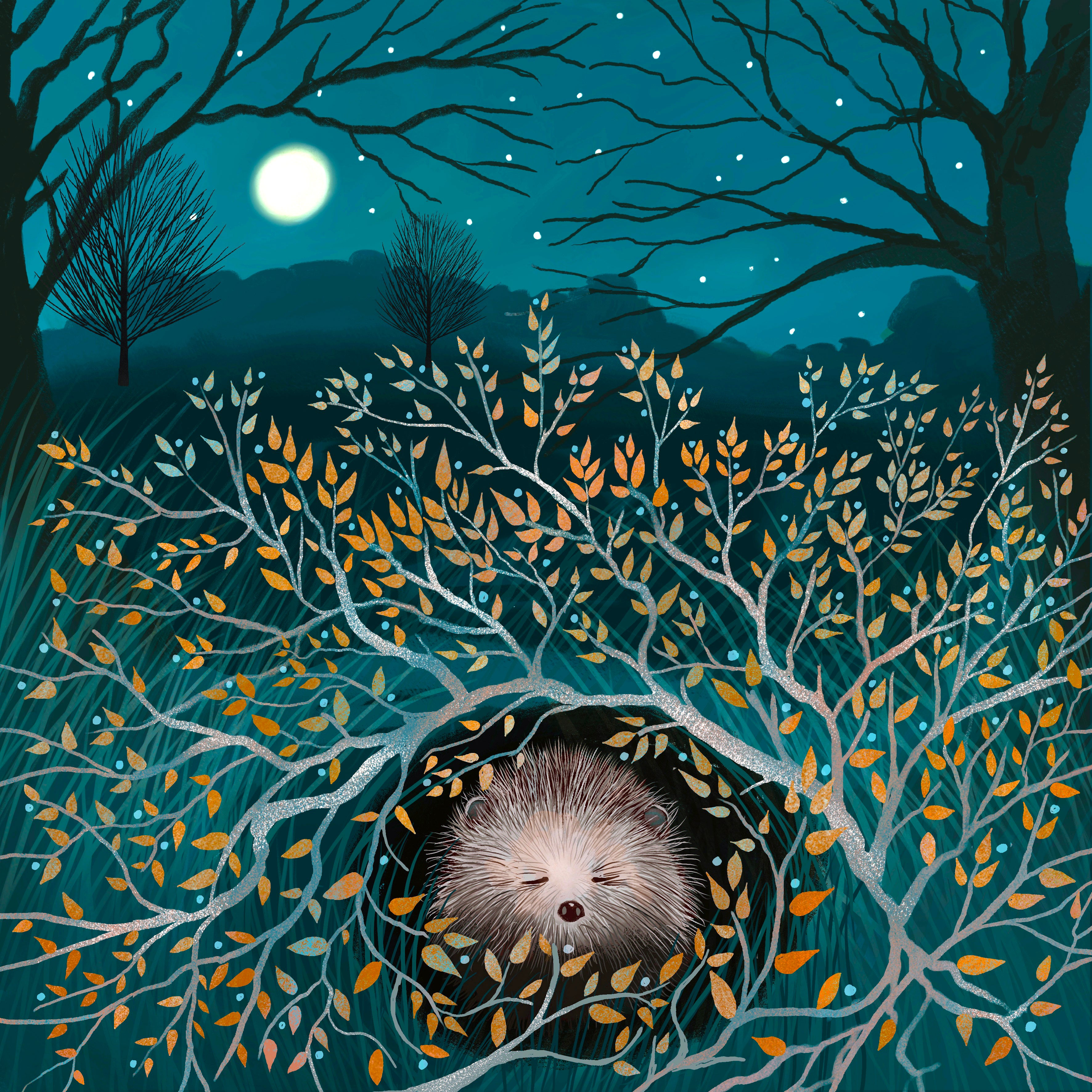 Cards – GallowayArts